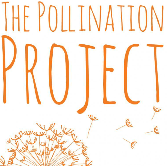Internacional – Proyectos: The Pollination Project (TPP) ofrece apoyo a ...