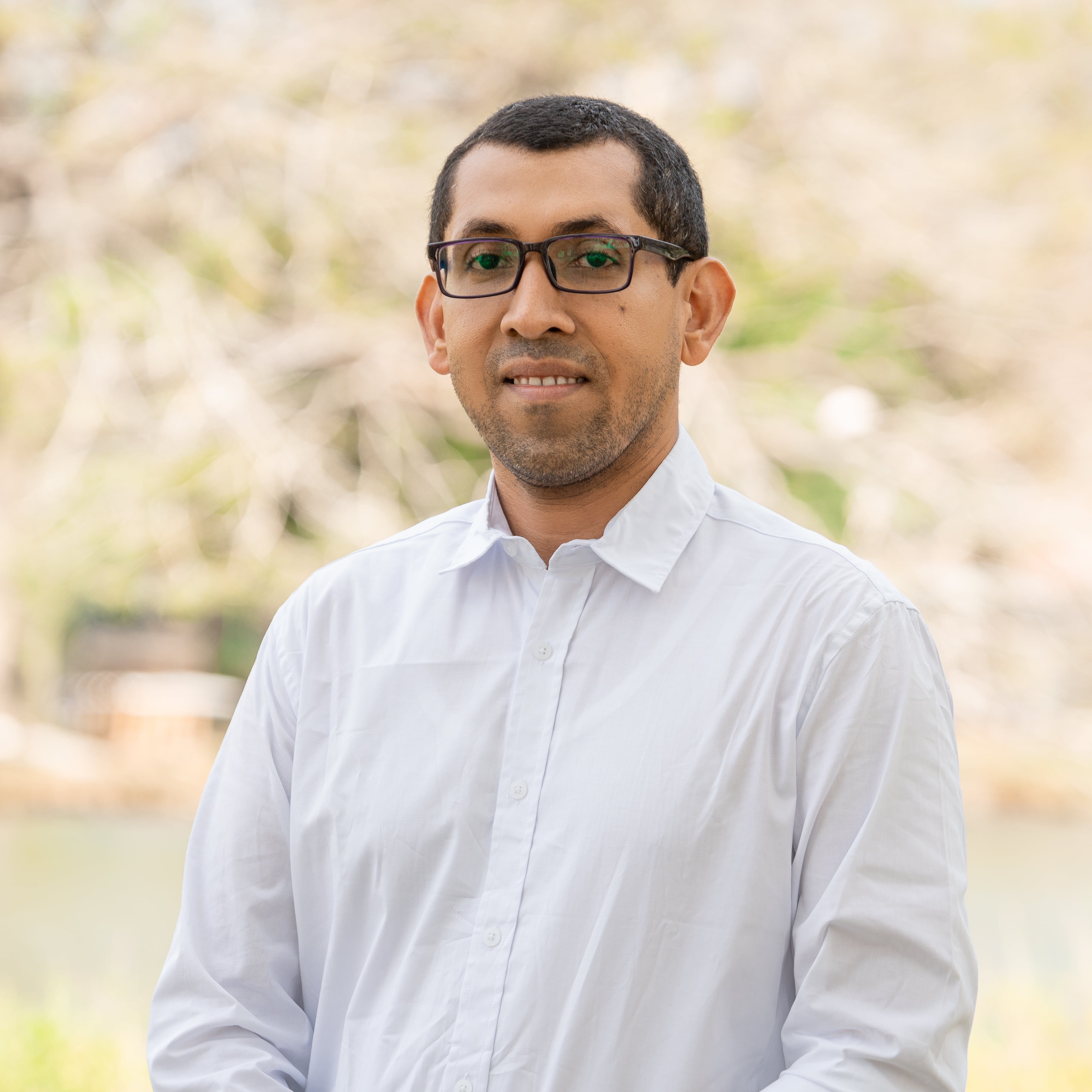 Estructura Organizacional- Investigación unimagdalena Universidad del ...